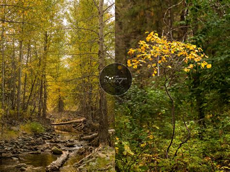Crowsnest Pass Landscapes Blog Lethbridge Wedding Photography