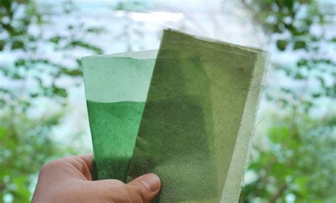 Creating Bioplastics From Algae Eating Microorganisms