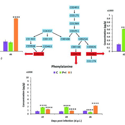 Illustration Of The Phe Tyr And Trp Biosynthesis Pathways And Mrm Download Scientific Diagram