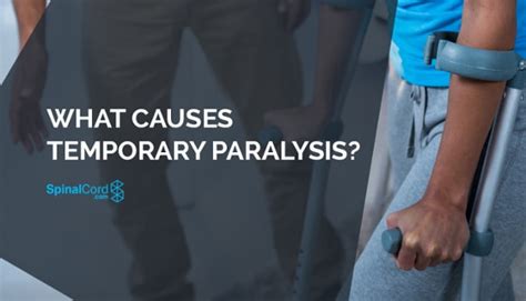 What Can Cause Temporary Paralysis In A Dog