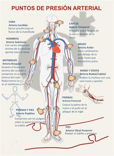 Canal De Salud Tema 7 Constantes Vitales