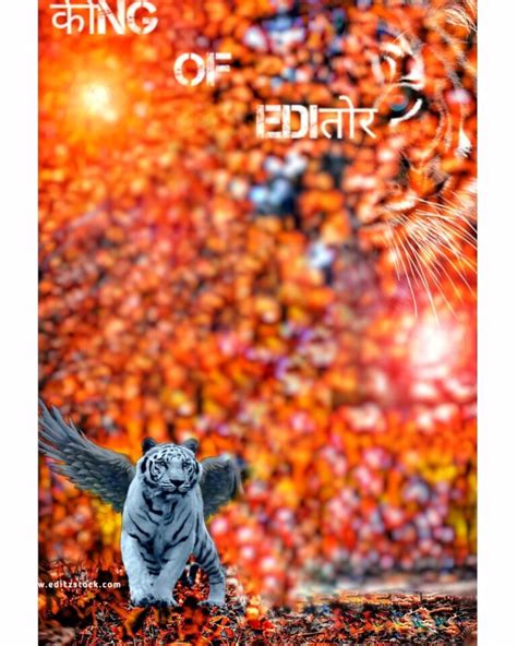King Cb Editing Background Hd King Cb Editing Background Hd
