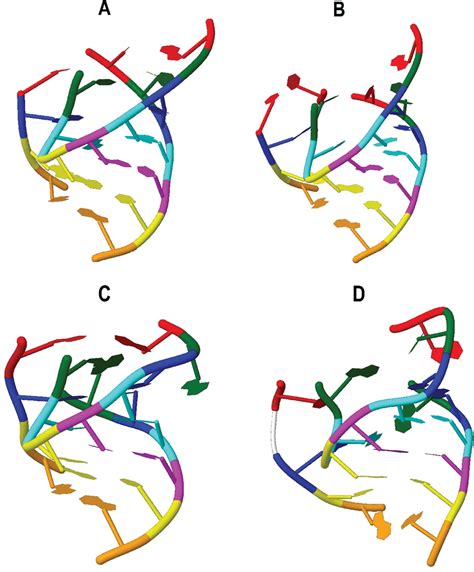 Tertiary Interactions Identified In Putative Structures A Trna Trp Download Scientific