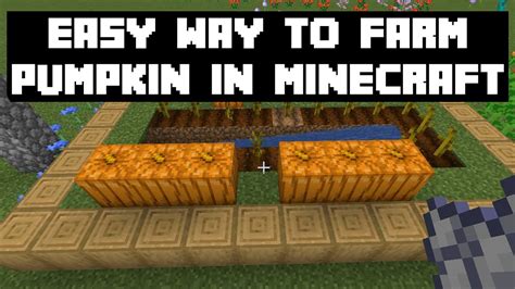 How To Farm Pumpkin In Minecraft Simple Tutorial Easy Youtube