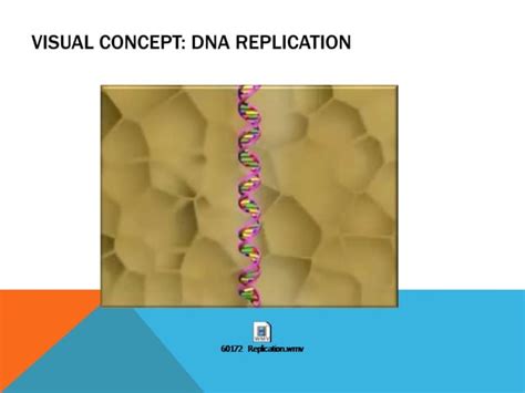 Dna Replicationppt