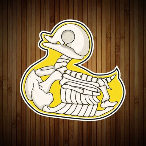 Xtreme Skeleton Of A Duck Called Yido Yido Lab Duck Skeleton