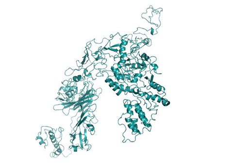 Dspp Dentin Sialophosphoprotein Bioinformatics For Dentistry