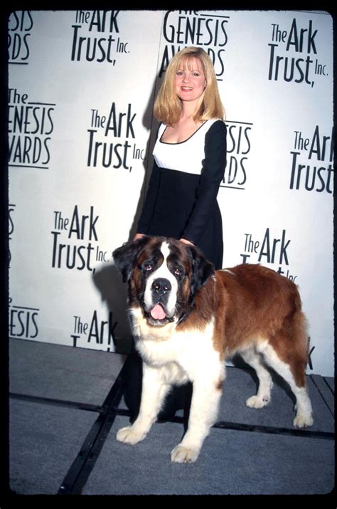 Bonnie Hunt Beethoven Beethoven 1992 Ruthless Reviews