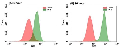 Cell Meter™ Fluorimetric Intracellular Peroxynitrite Assay Kit