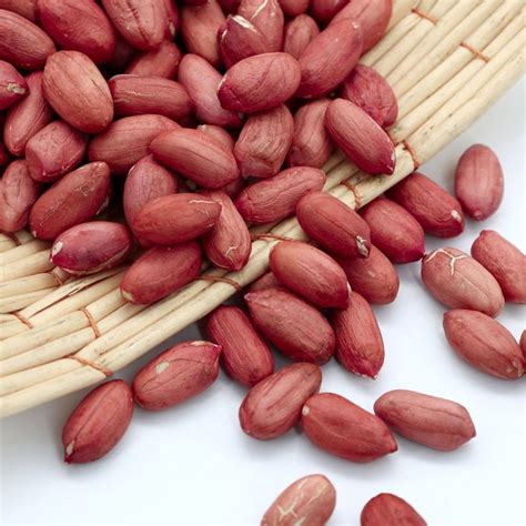 Red Skin Bold Peanut 5 Packaging Type Bag For Human Consumption At Rs 90 In Nagpur