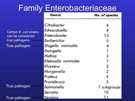 Enterobacteriaceae