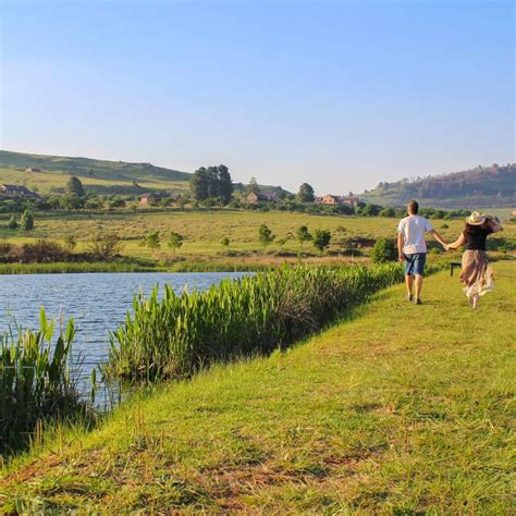 Thinking So With All This Talk Of Evolution Since I Started Te Way Back When I Figured Maybe