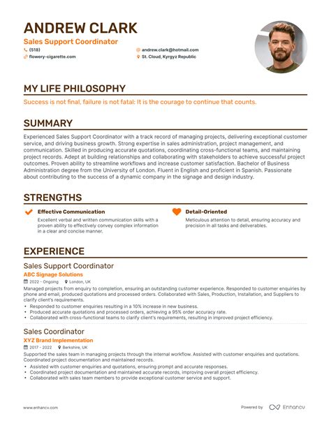 3 Successful Sales Support Coordinator Resume Examples And Writing Tips