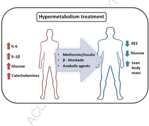 Figure 4 From The Biochemical Alterations Underlying Post Burn