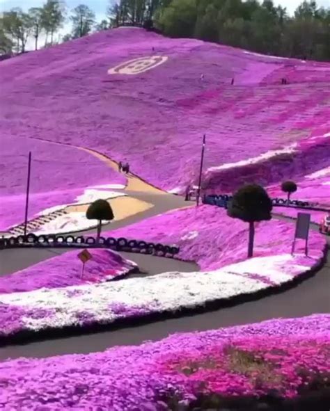 Coco Park In Real Life Crashbandicoot