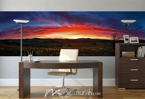 Country Meadow Sunset Panorama Mural By Magic Murals