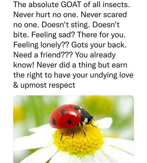 Utmost R Natureisfuckingcute