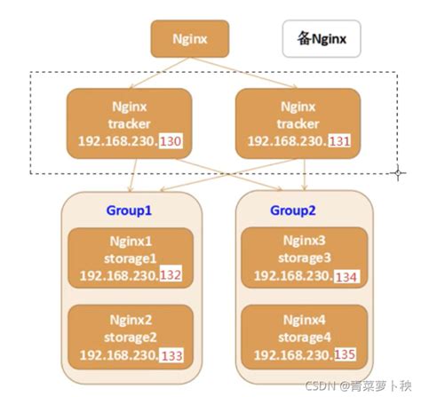 fastdfs单机、单节点和多节点集群部署文档 dfs多节点部署 csdn博客
