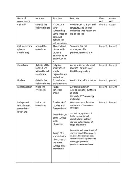 Cell Components Pdf Endoplasmic Reticulum Cell Biology
