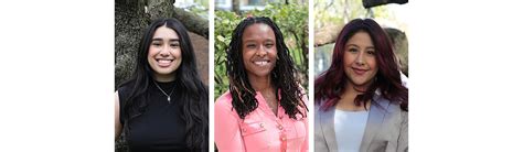 Ba Human Development And Learning Degree Requirements College Of