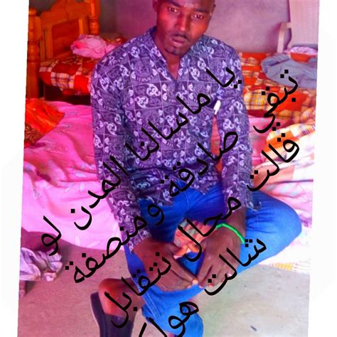 حامد حامد ابرهيم