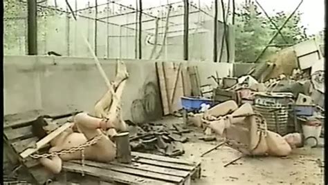 Sklavenfarm Ballfolter Xhamster