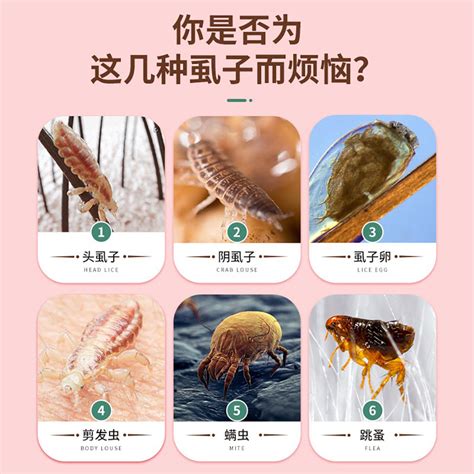 告别烦恼，重拾秀发清洁！🧽💫 南京同仁堂去虱子洗发水 洗发皂 淘宝好物网