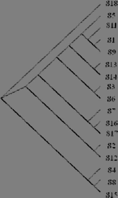 Groupings Produced By The Sequence Alignment Method Download