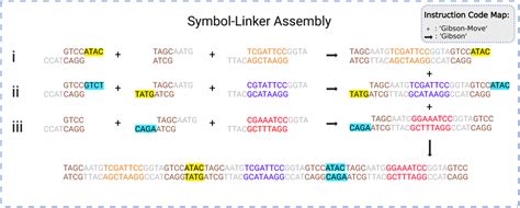 A Graphical Representation Of The Symbol Linker Assembly Process A Set