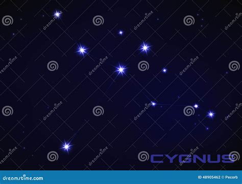 Cygnus Constellation Stock Vector Illustration Of Shape 48905462