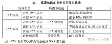 Rna病毒的类型子午线新浪博客