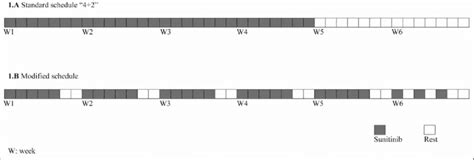 Classic 42 Schedule And Modified Schedule Download Scientific Diagram