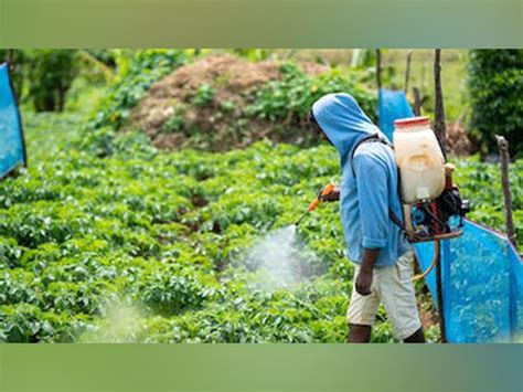 Study Finds Spray Technique For Bioactive Materials Science Environment