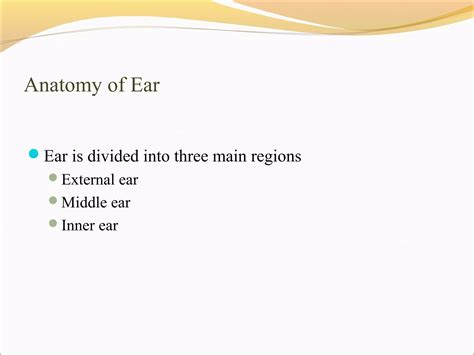 Anatomy And Physiology Of Ear Ppt