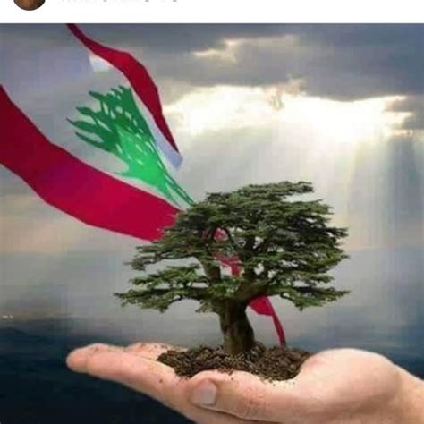 Maher Doughan Maherdoughan • Threads Say More Maher Doughan Maherdoughan • Threads Say More