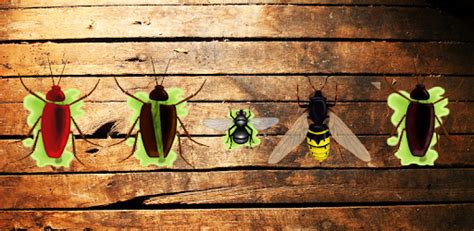 Tap Tap Ants Ant And Cockroach Smasher For Pc How To Install On