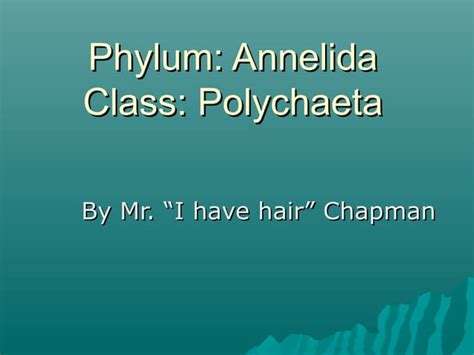 Class Polychaeta Notes Ppt