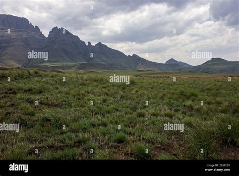 An Afromontane Grassland Surrounded By Sterkhorn The Turrent Amplet