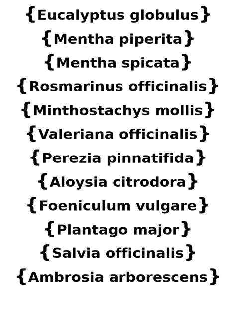 Eucalyptus Globulus Pdf