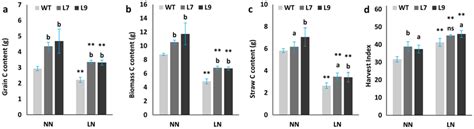 Nitrogen Use Efficiency Of Overexpression Gs Transgenic Lines Under
