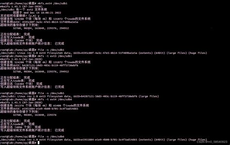 Linux系统磁盘分区与文件系统挂载实验 Csdn博客