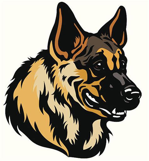 Best German Shepherd Illustrations Royalty Free Vector Graphics And Clip