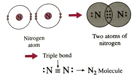 Electron Dot Structure For N2