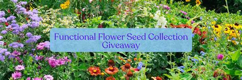 Enter The Stivers Homestead Functional Flower Seed Kit Giveaway