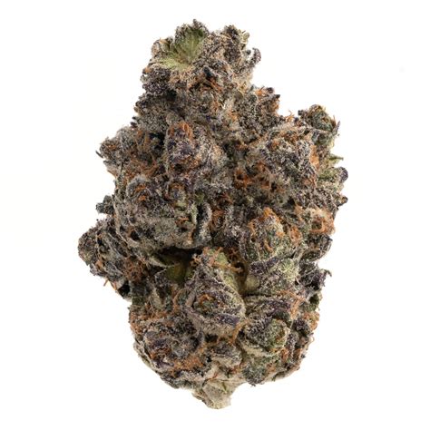 Granddaddy Pluto Bare Woods