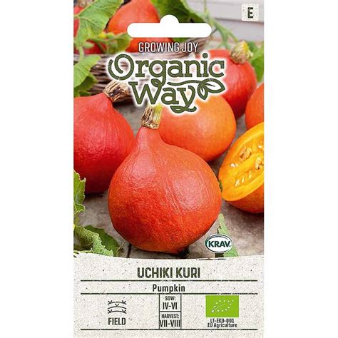 Pumpkin Uchhiki Kuri Seeds Theseedstore Eu