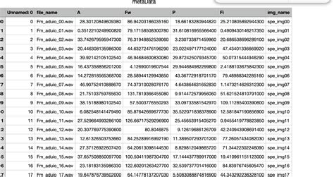 Python How Can I Determine A Cnn Model To Train A Multiple Labels For