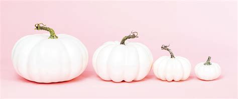 How Estrogen Influences Breast Growth — Plume Health