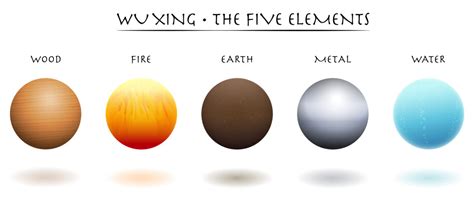 Discover Your Five Elements Personality Type Online Only Cancelled Oma Pittsburgh