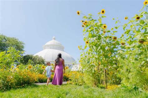 Mta Redesigns Queens Bus Routes For Service